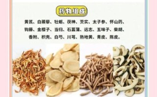肾虚煲什么汤最好_补肾虚汤100种做法大全