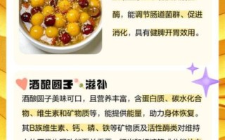 酒酿丸子怎么做_酒酿丸子功效与禁忌