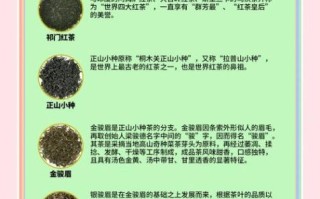 红茶有哪些品种_哪些茶属于红茶