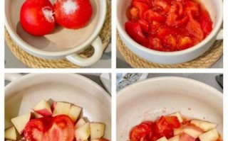 糖醋番茄汁怎么做_糖醋番茄汁的正宗做法