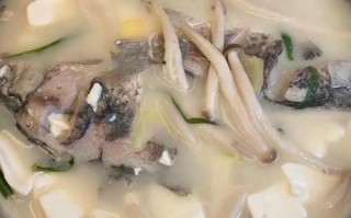 鲫鱼汤怎么做不腥_鲫鱼汤做法步骤详解