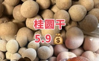 干桂圆一天吃了40多颗_会上火吗