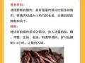 风干猪肉干怎么吃_风干猪肉干怎么保存