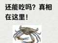 吃完螃蟹怎么排出寒气_吃螃蟹后驱寒方法