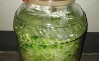 北方酸菜怎么做_酸菜腌制多久能吃