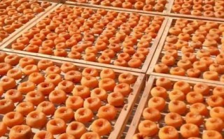 怎样制作柿饼_柿饼怎么晾晒