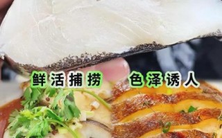 鲽鱼为什么都是冷冻的_冷冻鲽鱼口感会差吗