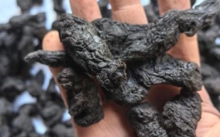 熟地多少钱一斤_熟地价格为什么差别大