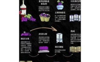 红葡萄酒怎么酿造_家庭自酿步骤