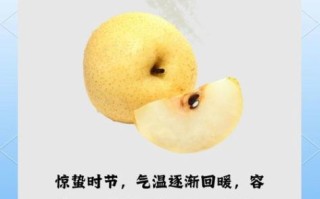 惊蛰吃什么传统食物_惊蛰时节有哪些应季美食