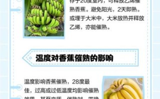 香蕉是发物吗_术后能吃香蕉吗