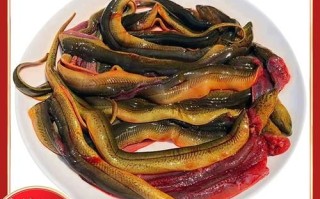 鳝鱼怎么杀_鳝鱼宰杀技巧