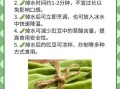 豇豆的功效与作用禁忌_豇豆不能和什么一起吃