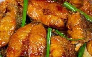 红烧鮰鱼的家常做法_鮰鱼怎么烧才嫩