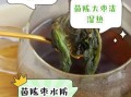 茵陈可以直接泡水喝吗_茵陈泡水喝的正确方法