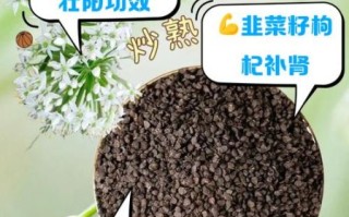 韭菜籽的功效与作用_韭菜籽怎么吃效果最好