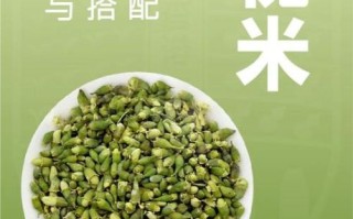 槐米的功效与作用_槐米怎么吃最好