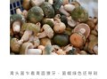 青头菌多少钱一斤_青头菌价格走势