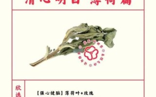 薄荷的功效与作用禁忌_孕妇能吃吗