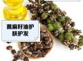 蓖麻油的功效与作用_蓖麻油能生发吗