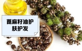 蓖麻油的功效与作用_蓖麻油能生发吗