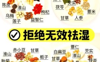 祛湿气最好的方法_中药配方有哪些