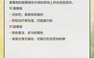 野葛根叶子图片大全_如何辨别真假