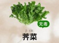 荠菜的功效与作用_荠菜怎么吃最养肝