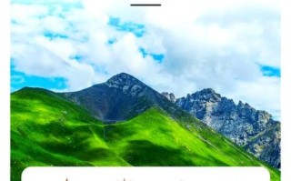 蕨麻多少钱一斤_蕨麻价格行情