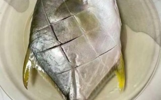 金鲳鱼是海鱼吗_金鲳鱼产地在哪里