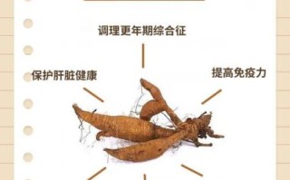 葛根粉吃了有什么功效_葛根粉适合什么人吃