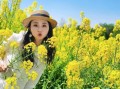 油菜花什么时候开_油菜花拍照技巧