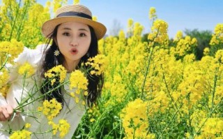油菜花什么时候开_油菜花拍照技巧