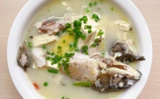 豆腐鱼汤什么时候放豆腐_豆腐鱼汤豆腐下锅最佳时机