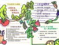 科学饮食健康生活手抄报内容怎么写_如何搭配每日营养