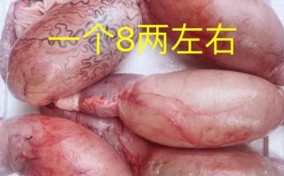 牛膀胱的功效与作用_牛膀胱怎么吃最好