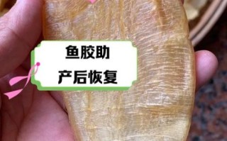 大口胶是什么鱼的鱼胶_大口胶鱼胶的功效与作用