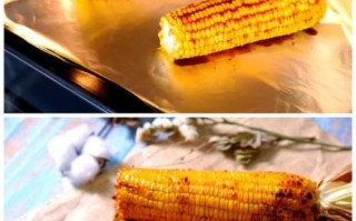 烤玉米烤箱多少钱_家用烤玉米烤箱价格
