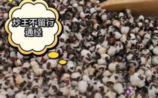 王不留行的功效与作用及禁忌_王不留行孕妇能吃吗