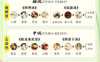 中药养生茶饮有哪些_怎么喝才有效