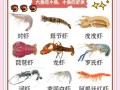 虾的种类图片大全大图_如何区分常见虾品种
