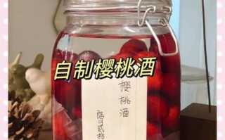 樱桃酒家庭酿制方法_樱桃酒怎么酿才甜
