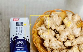 姜撞奶怎么做会凝固_姜撞奶不凝固原因
