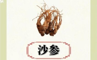 沙参的功效与作用_沙参主治什么病