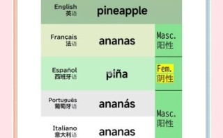 菠萝英语怎么读音播放_发音技巧详解