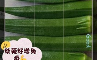 秋葵泡水喝可以降血糖吗_秋葵降血糖真相
