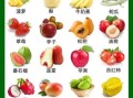 春天吃什么水果好_春天吃什么蔬菜好