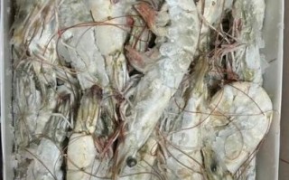 水煮虾怎么煮才鲜嫩_水煮虾需要焯水吗