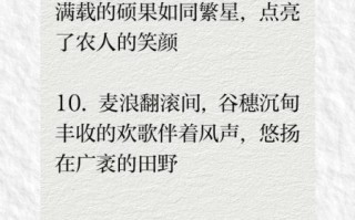五谷丰登怎么造句_五谷丰登造句大全