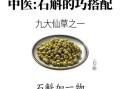 石斛怎么读_石斛的功效与作用
